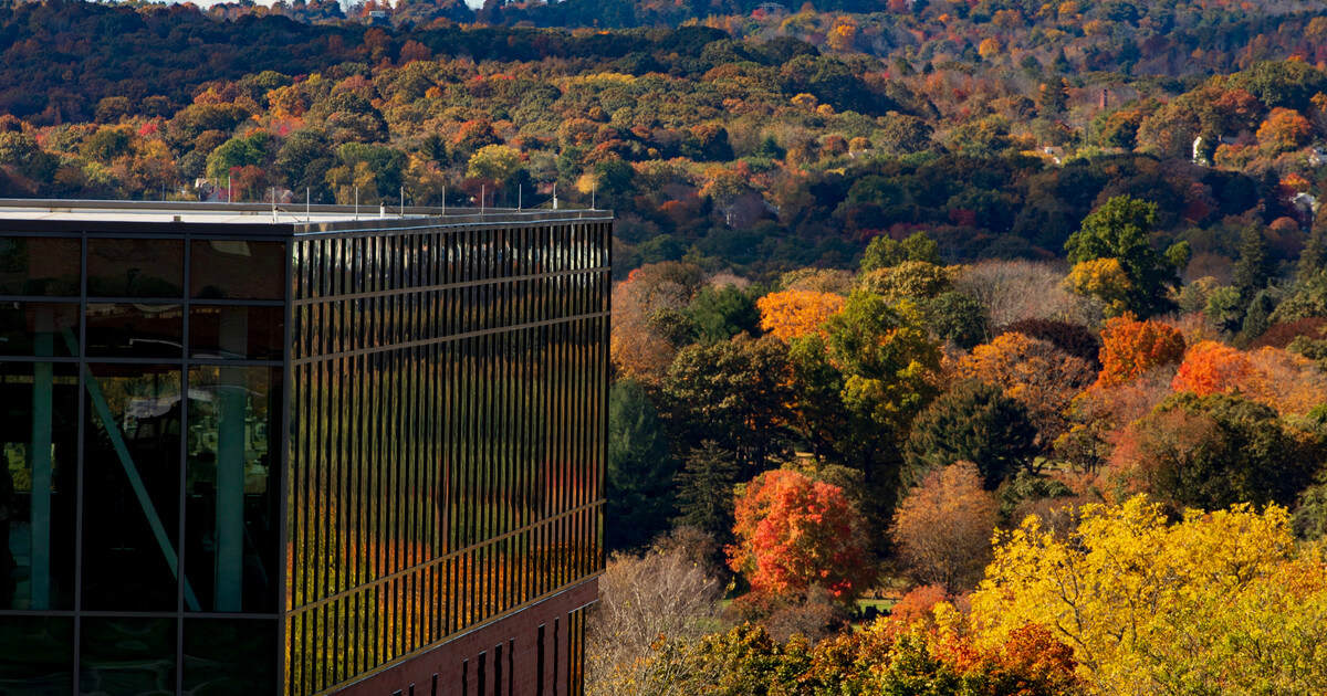 Worcester Fall Foliage Predicted to be ‘Spectacular’ This Year | Holy ...