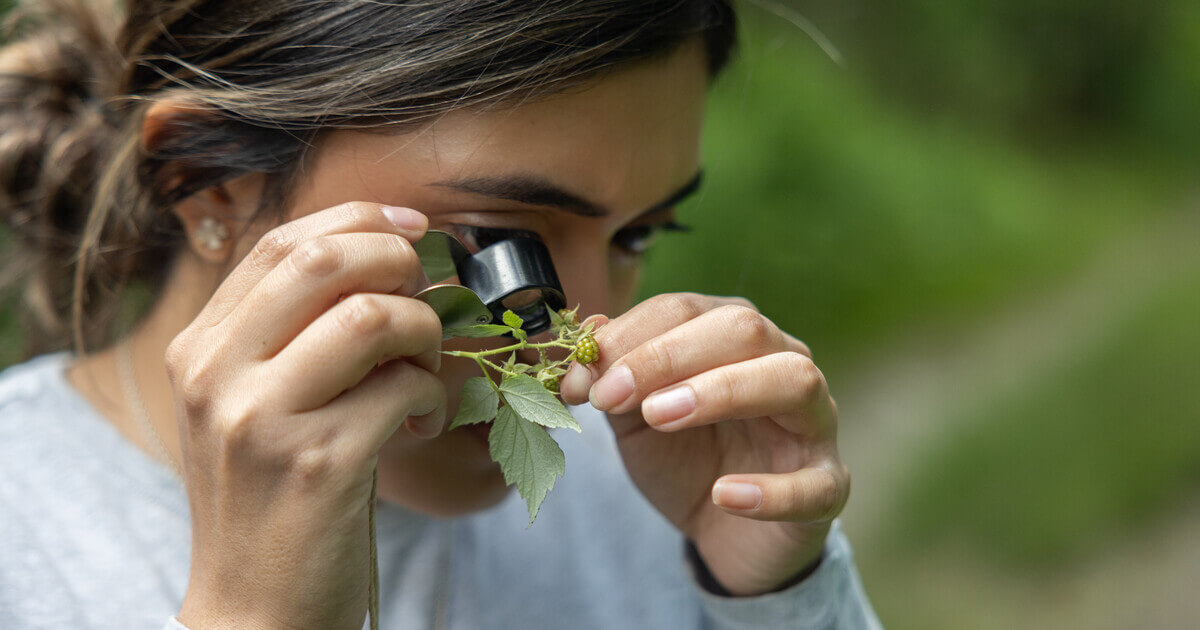 Thorns, Spines and Prickers, Oh My: The Defense Mechanisms of Plants ...